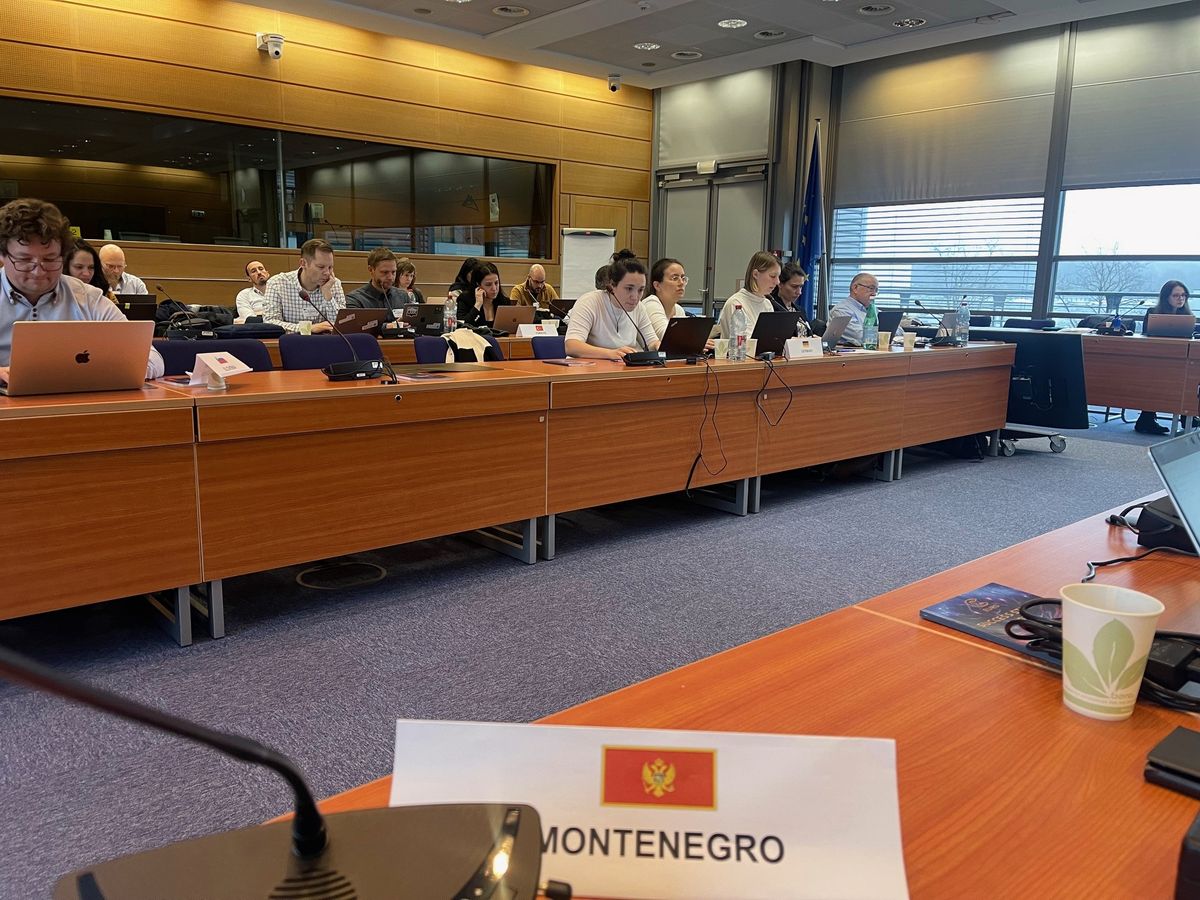 Annual Review of the EuroCC2/EuroCC4SEE Project: A Year of Impactful ...